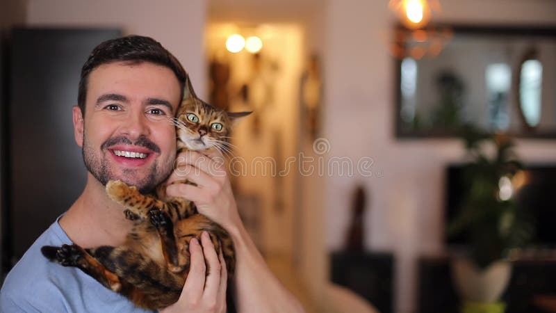 Man holding a bengal cat stock video. Video of kissing - 371961475