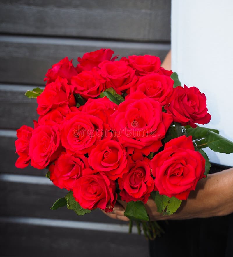 Man Holding Bouquet of Red Roses Stock Photo - Image of gardening ...
