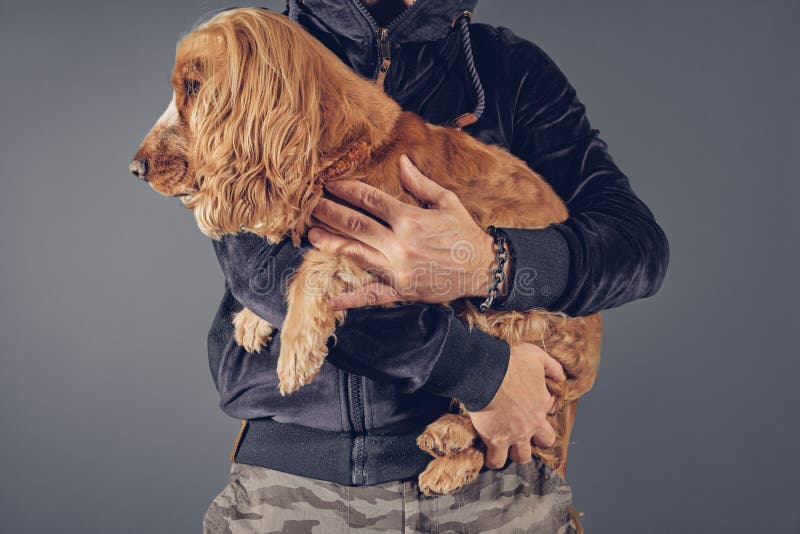 Man Holding Cocker Spaniel Dog in Arms Stock Image - Image of holding ...