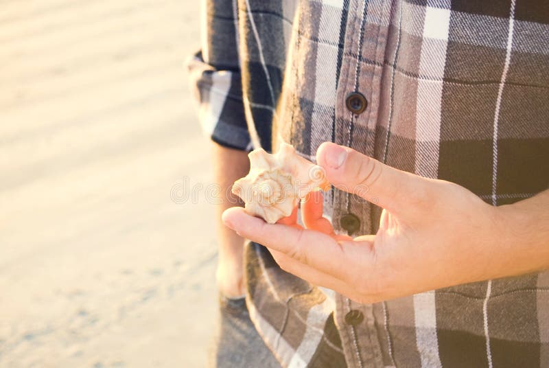 Tropical Florida Beach Seashell Vacation Stock Photo - Image of scene ...