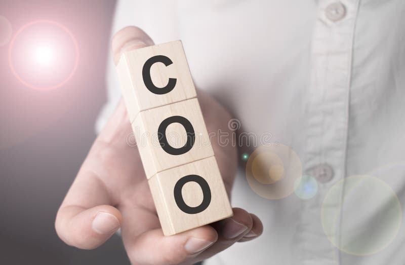 Man Holding Coo Word on Wooden Cube Stock Photo - Image of work, chief ...