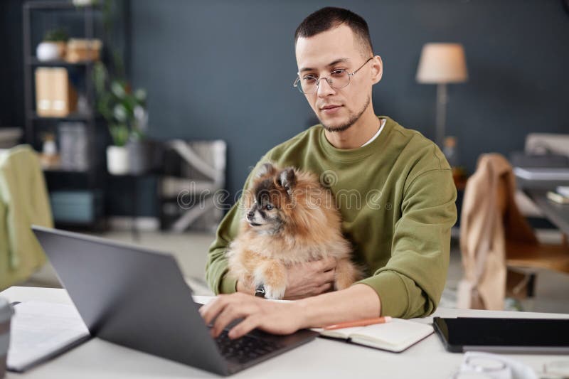 Man Holding Dog Working in Pet Friendly Office Stock Image - Image of ...