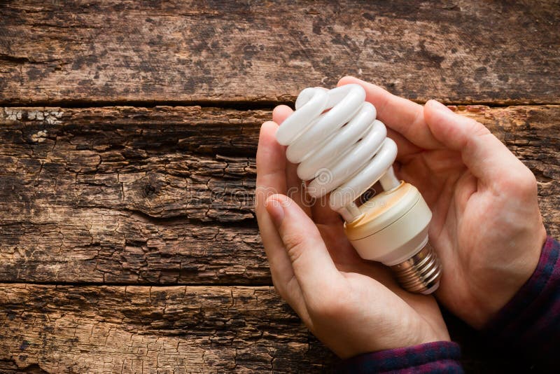 Man Holding Energy Saving Light Bulb Stock Photo - Image of hands, hand ...