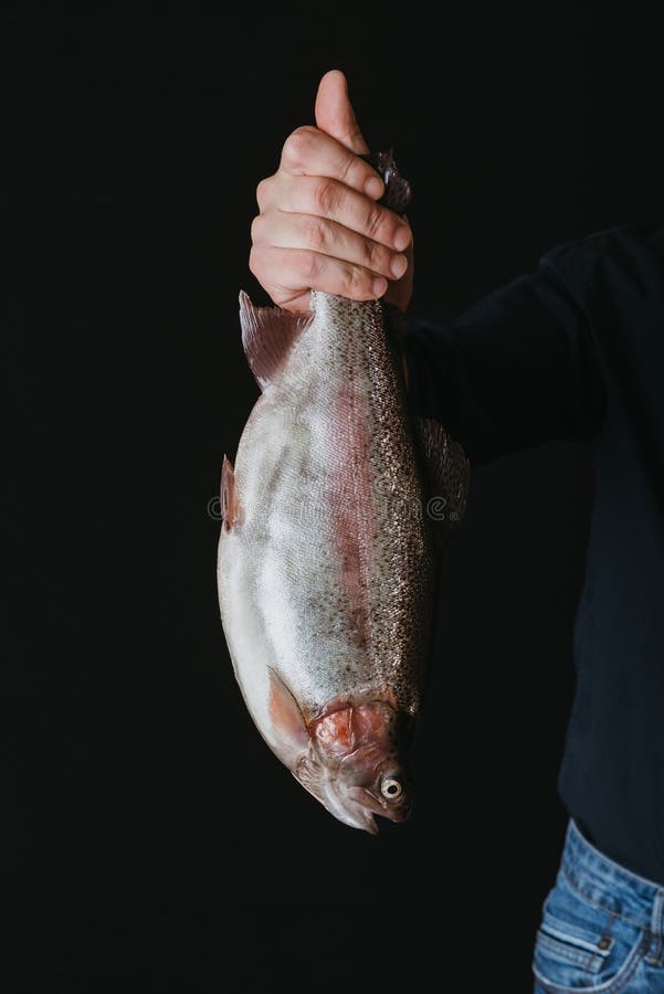 Man Holding a Fresh Trout. Red Fish Live Stock Image - Image of male ...