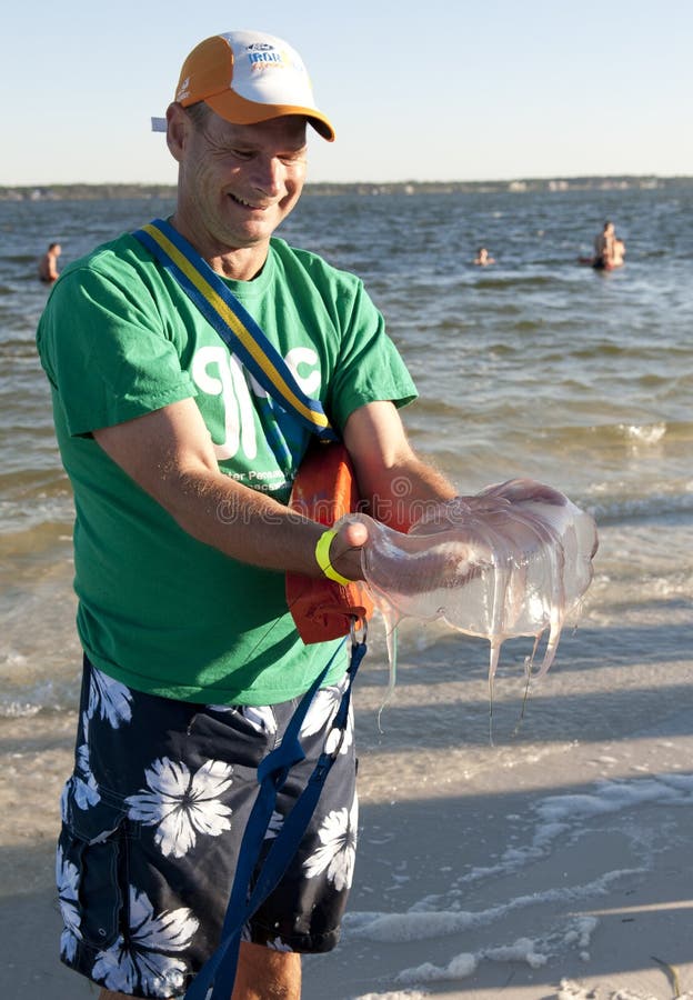 Man Holding A Giant Jellyfish Editorial Stock Photo - Image of florida ...