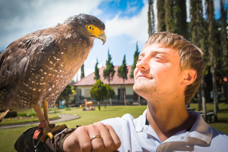 Man Holding on a Hand of Beautiful Eagle Stock Photo - Image of nature ...