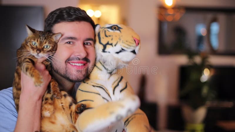 Man Holding His Bengal Cat and a Toy Stock Footage - Video of adult ...