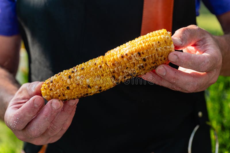 Man Holding in His Hands Grilled Sweet Corn on the Cob Stock Photo ...