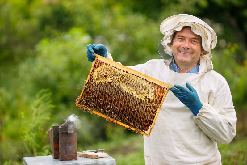 Beekeeper at apiary stock image. Image of beekeeper - 191684269
