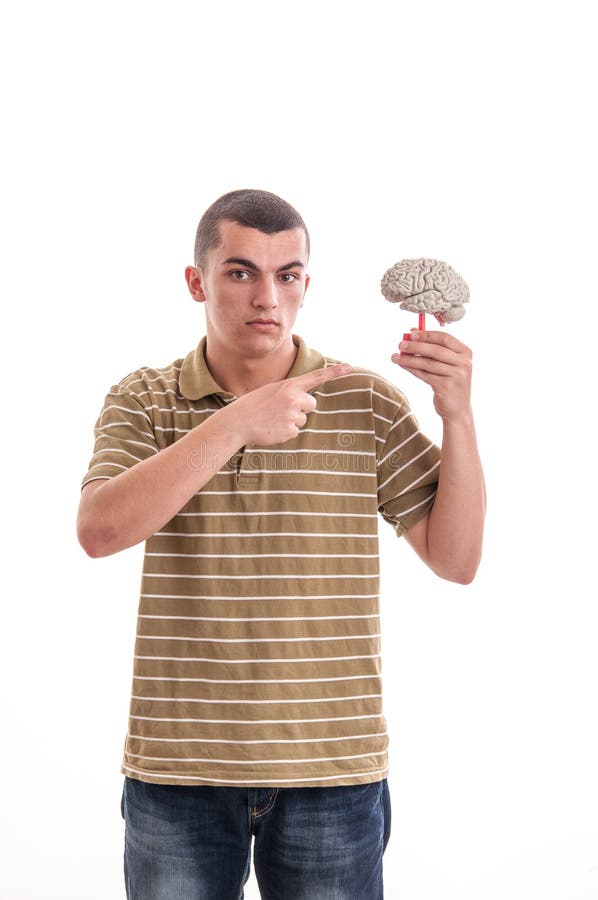 Man Holding Human Brain Model and Pointing at Him Stock Photo - Image ...