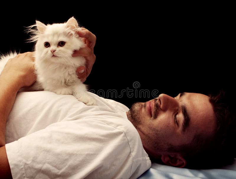 Man and Kitten stock photo. Image of kitten, feline, cats - 2082346