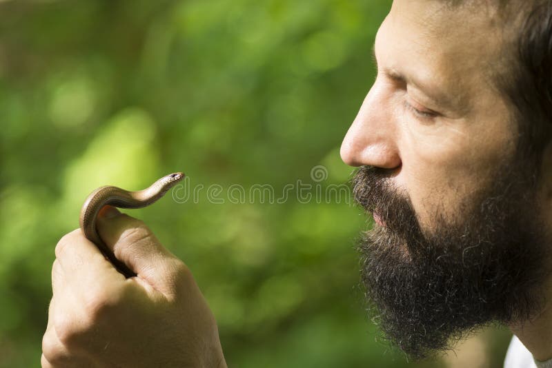 Man holding little snake stock photo. Image of hands - 150036572