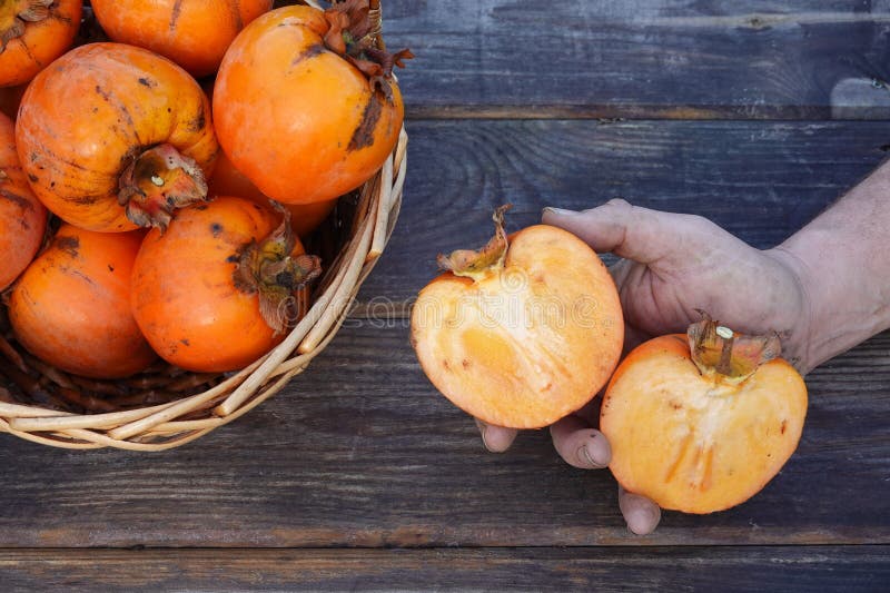 Man Holding Persimmon Fruit Open in Half Next To a Basket Full of Fruit ...