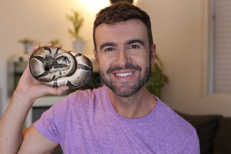 Man Holding `python Regius` or `ball Python` Stock Photo - Image of ...