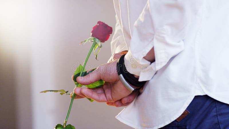 Man Holding a Red Rose in His Hand Stock Image - Image of couple, hand ...