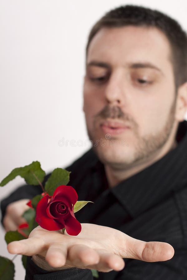 Man Holding a Red Rose on His Palm Blowing Stock Image - Image of ...
