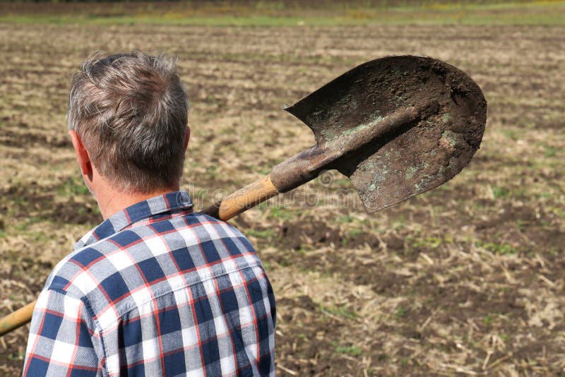 Man Holding Shovel in Field, Back View. Digging Process Stock Image ...