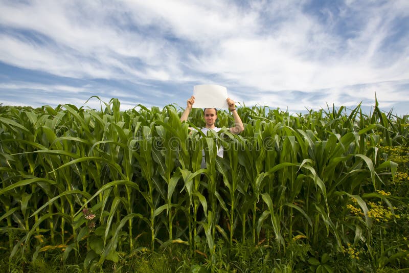 Farmer Guy in Wheatfield Holding Blank Sign Stock Image - Image of ...