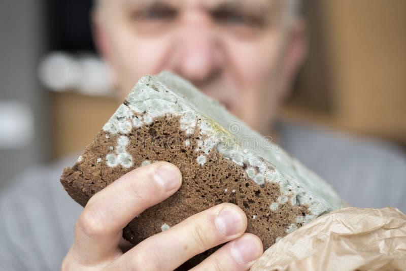 Smelling a moldy bread stock photo. Image of uneatable - 213510848