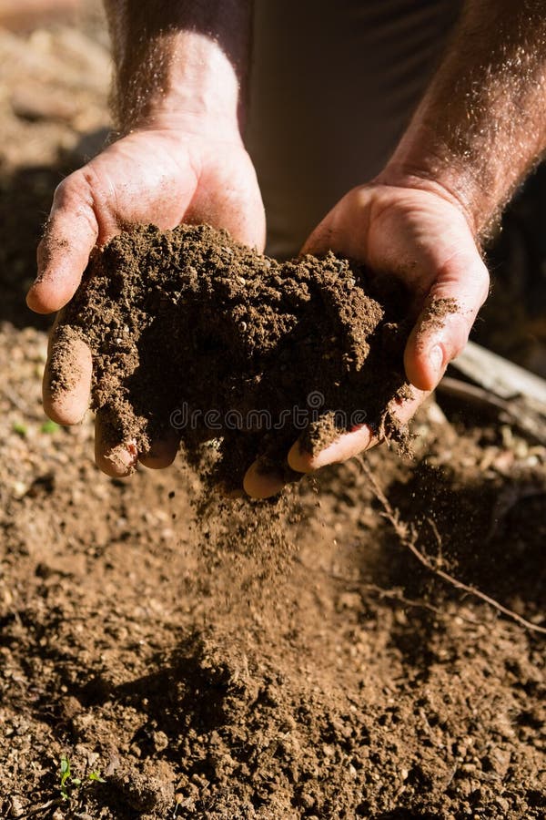 Man holding soil in garden stock image. Image of nature - 97031153