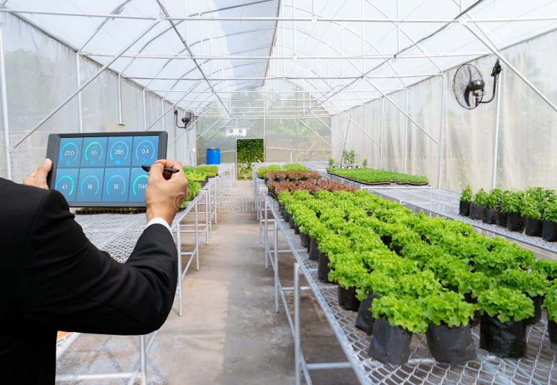 Man Holding a Tablet Using Technology Monitor Vegetable Growth Stock ...