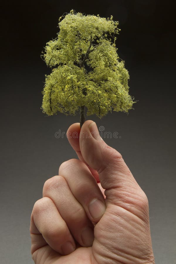 Man holding a tree stock image. Image of protection, planet - 30875141