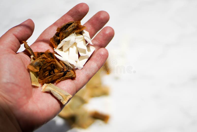 A Man Holds a Handful of Packets of Swedish Nicotine, Snus Stock Photo ...