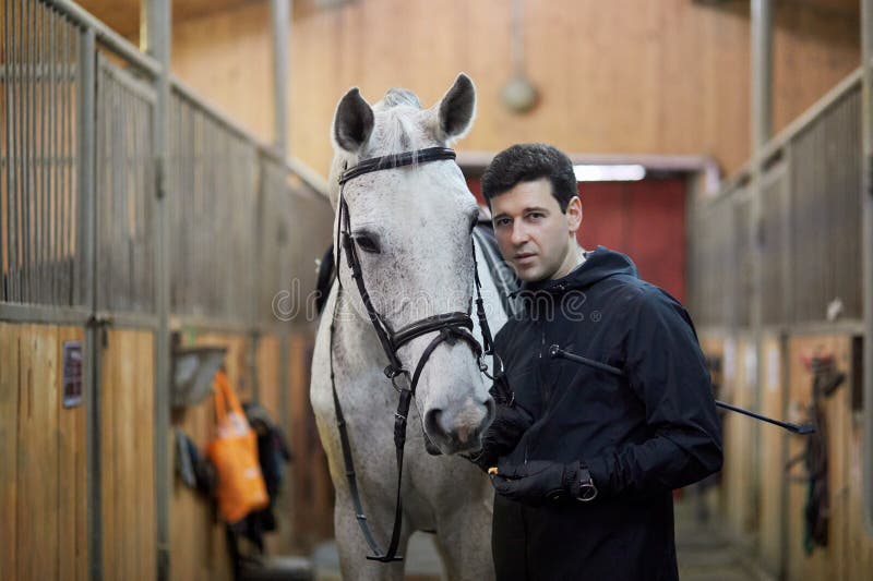 Man Holds Horse by Bridle in Riding Stock Image - Image of equine, farm ...