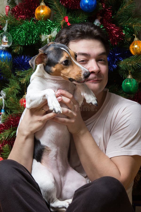 Man Holds Jack Russell Terrier Stock Image - Image of male, russell ...