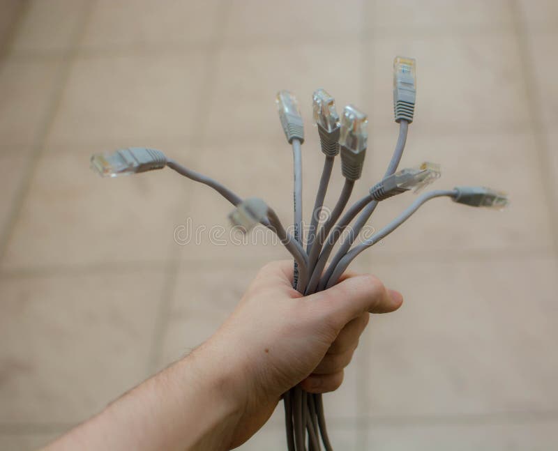 Ethernet cables in hand stock photo. Image of connect - 110293298