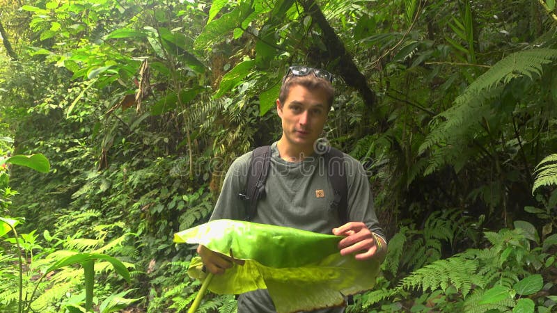 A Man Holds a Leaf in the Rainforest Stock Video - Video of rainforest ...
