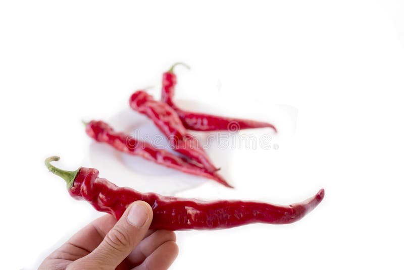 Man Holds Red Chilli Pepper Stock Photo - Image of healthy, flavor ...