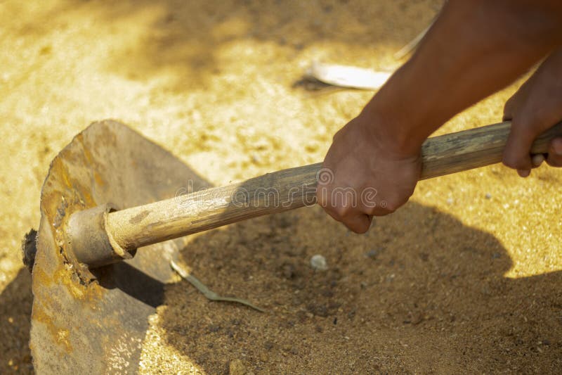 A Man Holds a Spade To Cultivate the Soil Stock Photo - Image of ...