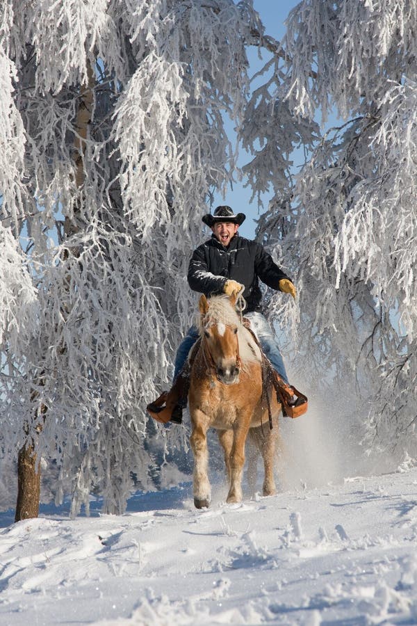 Man on horse stock photo. Image of holiday, adult, frost - 13039362