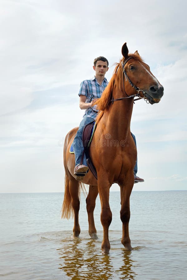 Man on horse stock image. Image of people, race, speed - 20682509