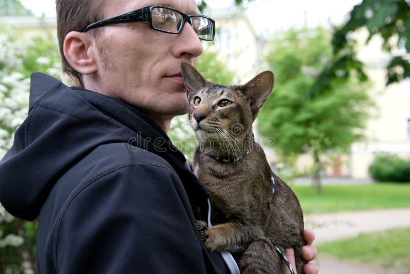 Man hug his cat outdoor stock image. Image of collar - 55271915
