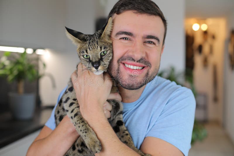 Man Hugging His Gorgeous Cat Stock Photo - Image of australian ...
