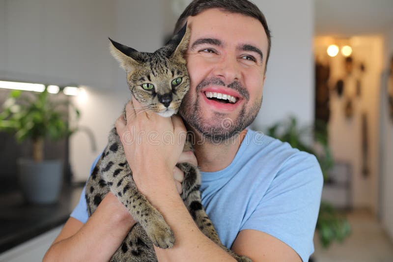 Man Hugging His Gorgeous Cat Stock Image - Image of bengal, love: 344671013