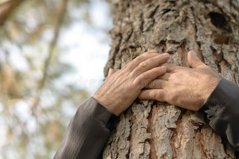 Man Hugging a Tree in the Forest Stock Photo - Image of human, hugging ...