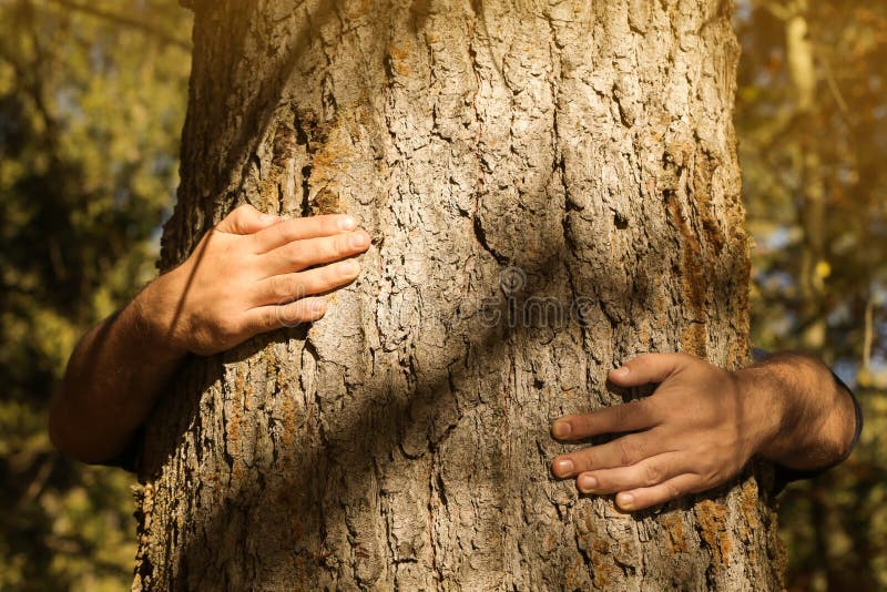 Man hugging tree in forest stock image. Image of growth - 131949323