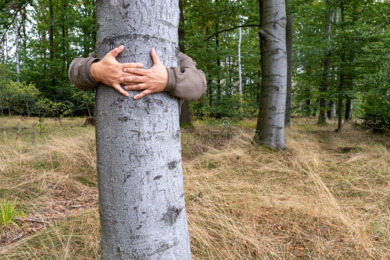 Man Hugging Tree in Forest. Stock Photo - Image of embracing, affection ...