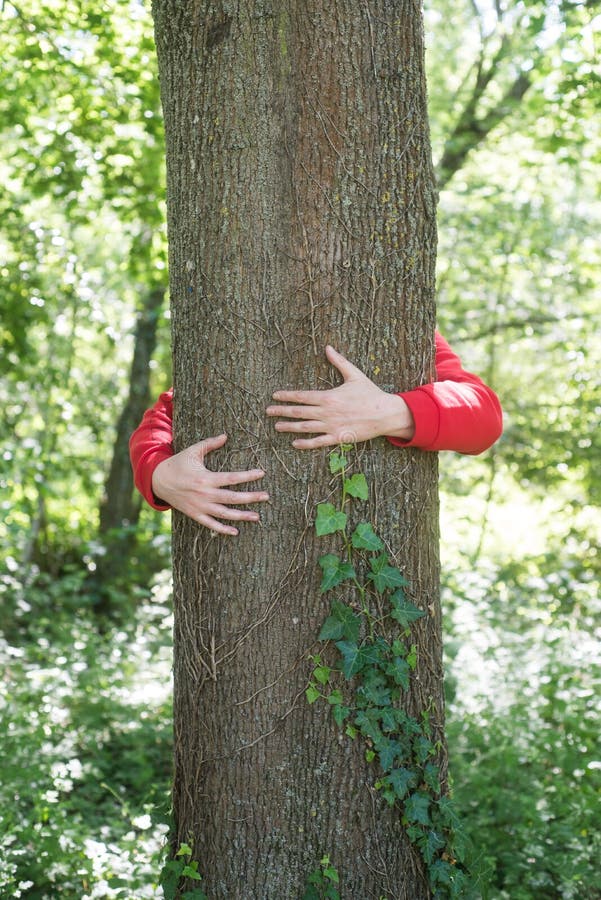 770 Young Man Hugging Tree Forest Stock Photos - Free & Royalty-Free ...