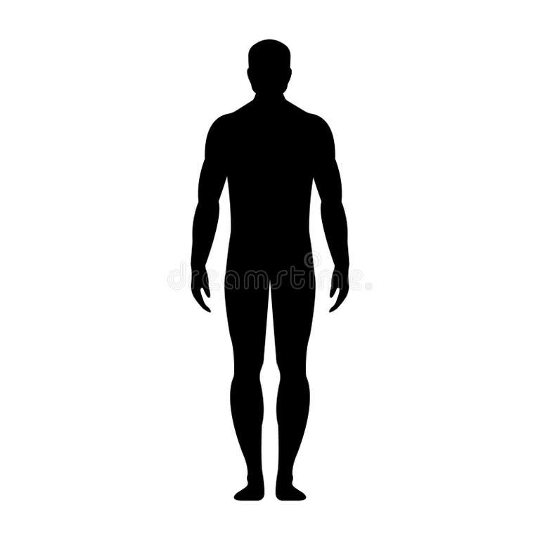 Human Body Silhouette Stock Illustrations – 121,453 Human Body ...