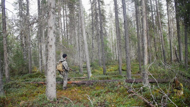 Man Hunter Outdoor in Forest Hunting Alone Stock Video - Video of ...