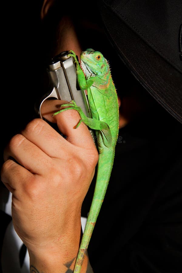 Man and iguana stock photo. Image of problem, aggressive - 23600790