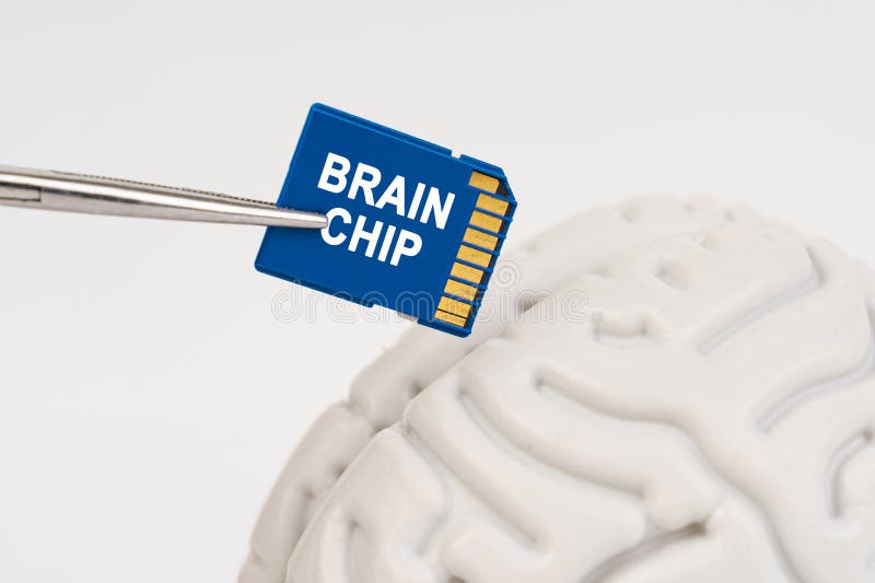 Human Brain and Computer Chip. Stock Image - Image of brain ...