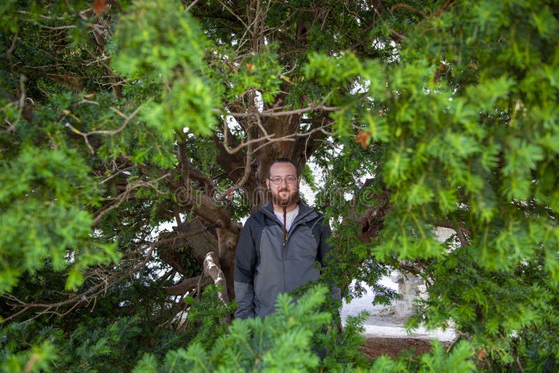 A man inside a tree stock photo. Image of face, confidence - 207324322