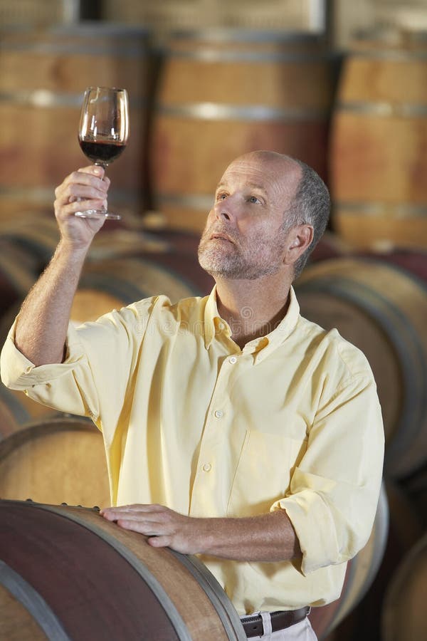 Man Inspecting Quality of Red Wine in Cellar Stock Image - Image of ...