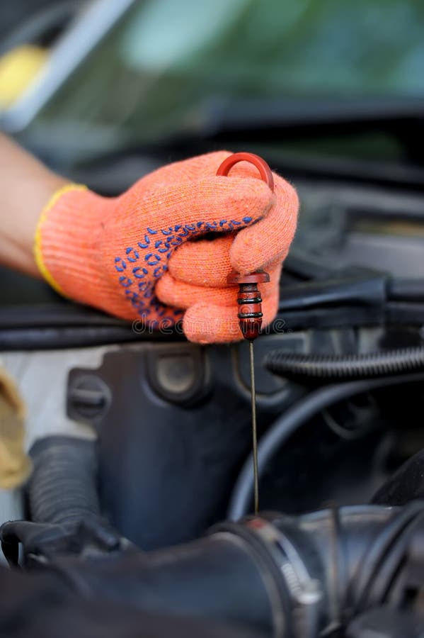 Man Inspects the Level of Oil Stock Photo - Image of land, automobile ... Man Inspects the Level of Oil Stock Photo - Image of land, automobile ...