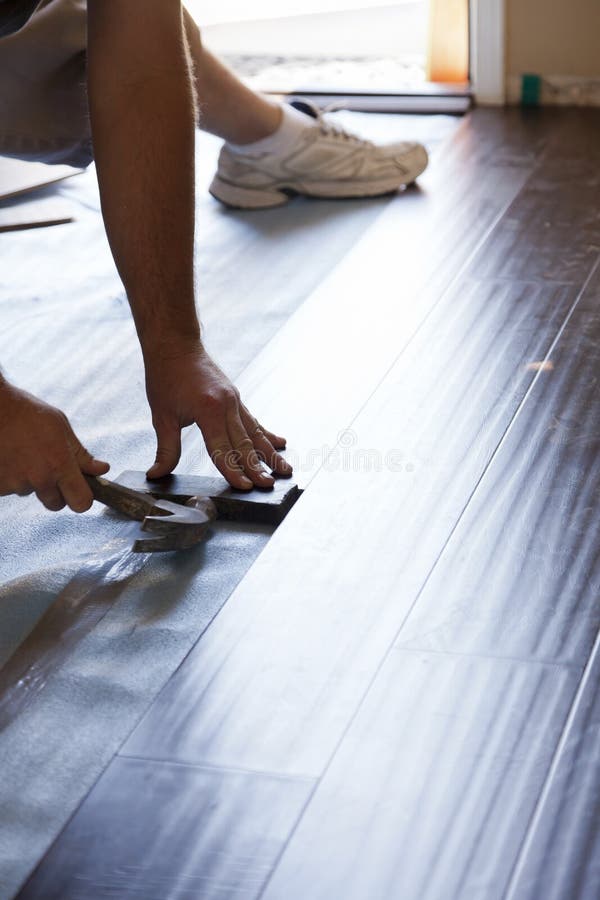 Man Installing New Laminate Wood Flooring Stock Photo - Image of male ...